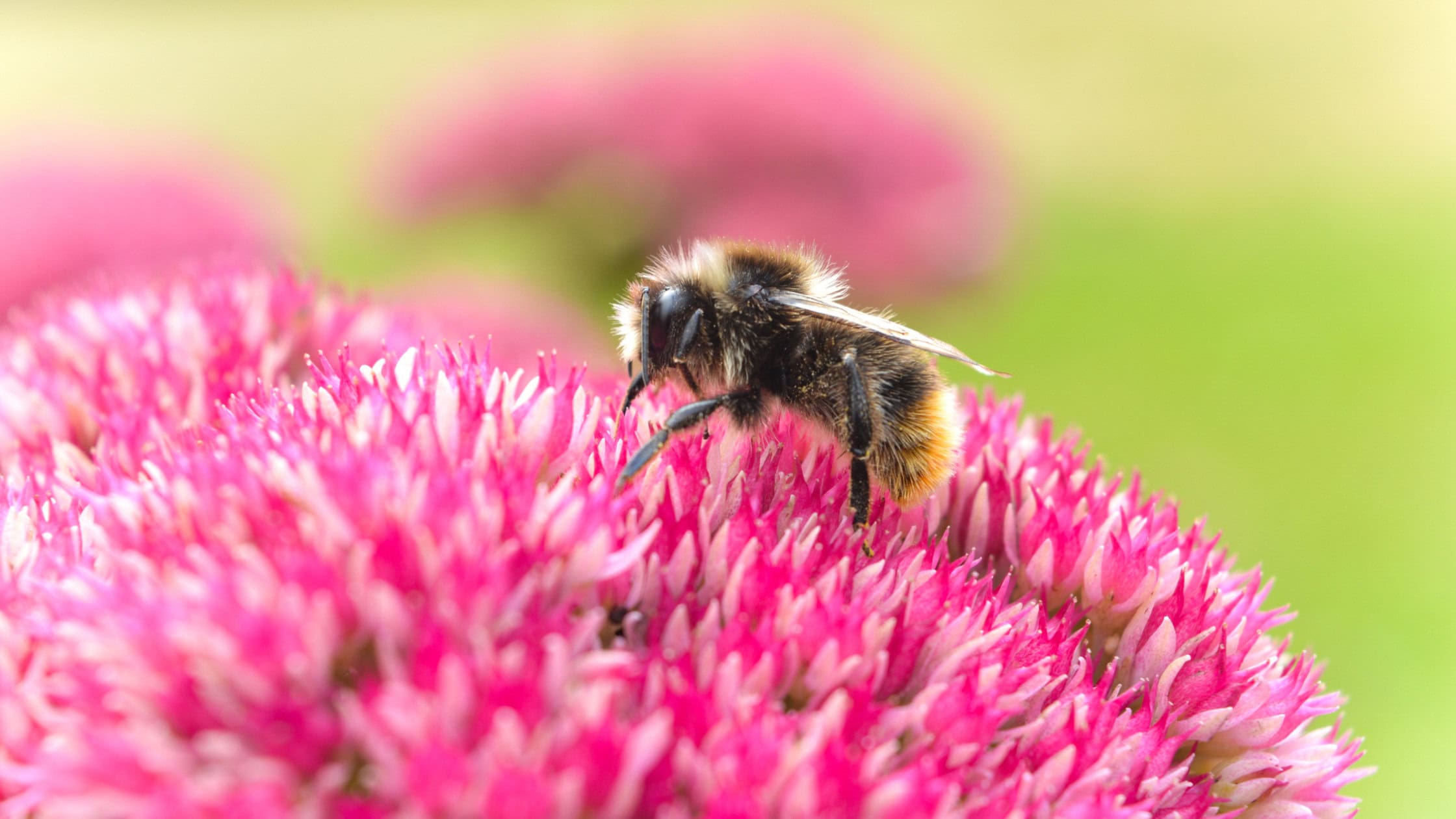 Power Surges, Buzzing Outlets & Other Electrical FAQs: Homeowners Often ...